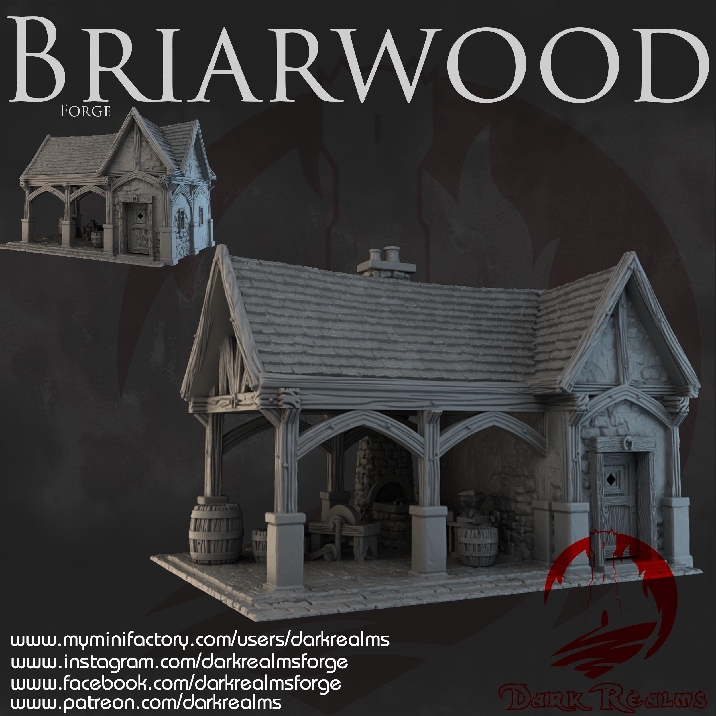 Briarwood - Forge - Printed on FDM Bambu Lab X1 Carbon (Custom Order ...